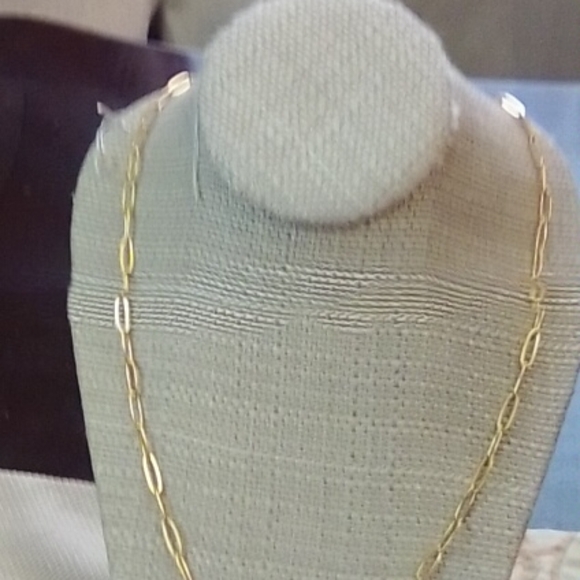 PINK LEMONADE JEWELRY | Jewelry | 8k Gold Plated Slim Long Links Chain ...
